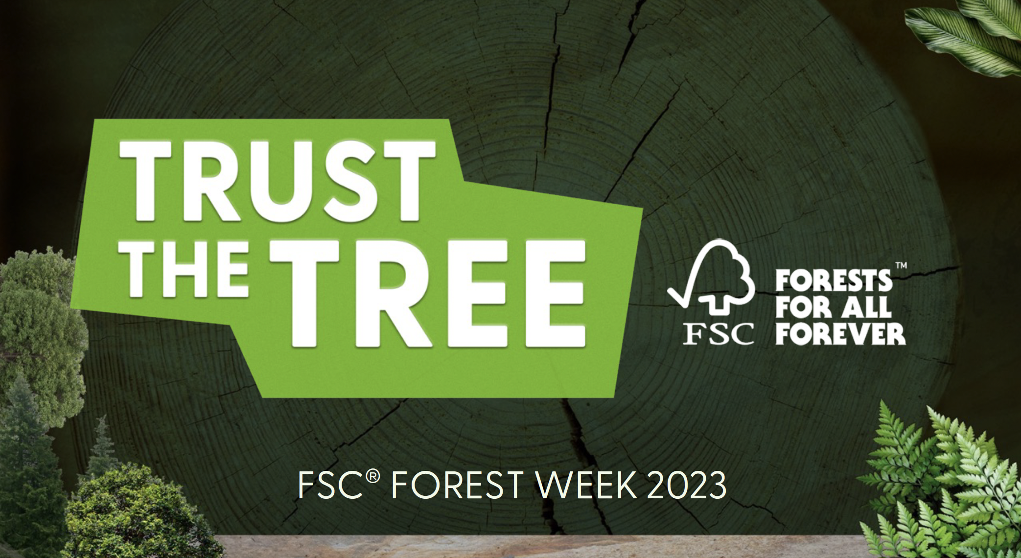 Register for FSC Forest Week 2023 | Forest Stewardship Council