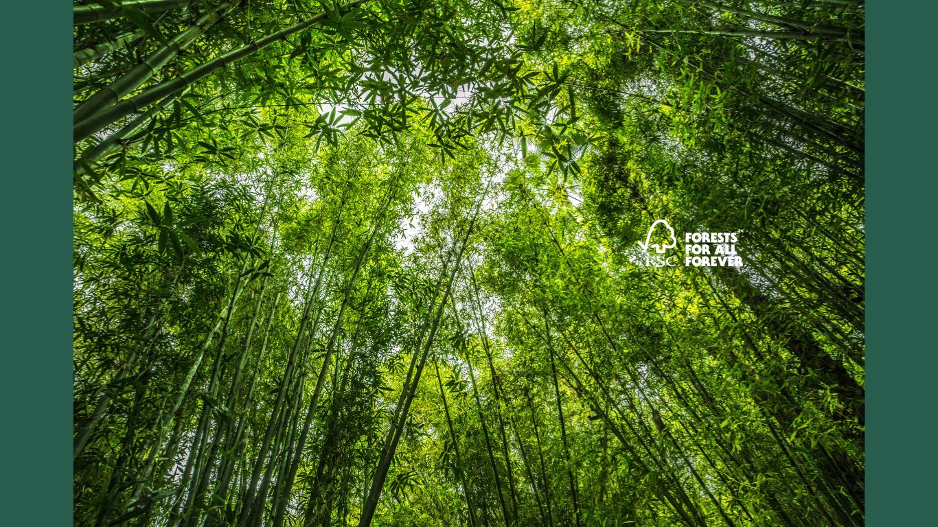 New Advice Note Aligns Forest Stewardship Standards with Updated SLIMF ...