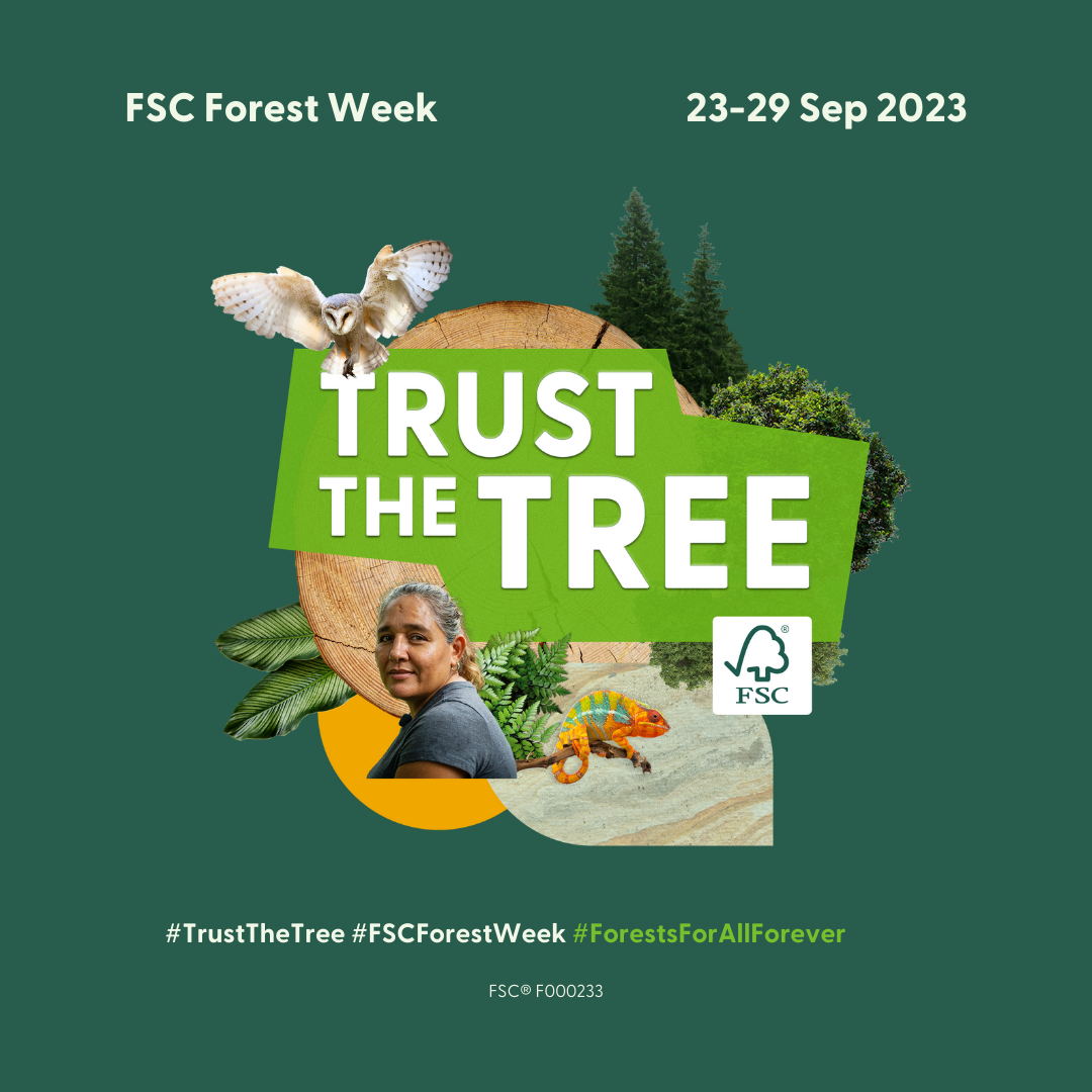 Other Ways To Support Responsible Forestry | Forest Stewardship Council