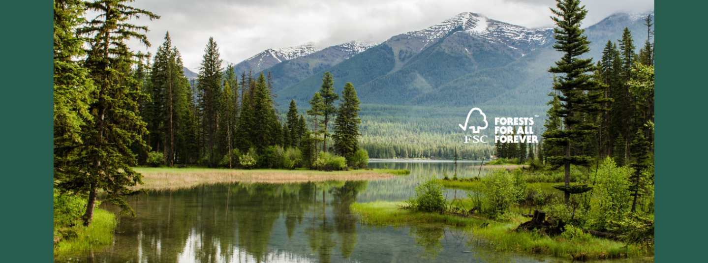 Home Page | Forest Stewardship Council