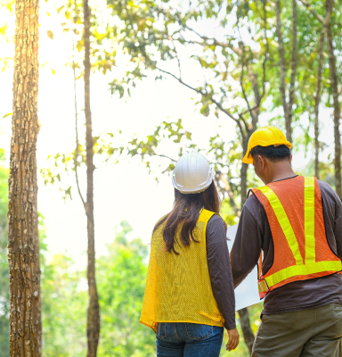 Forest Owners and Managers | Forest Stewardship Council
